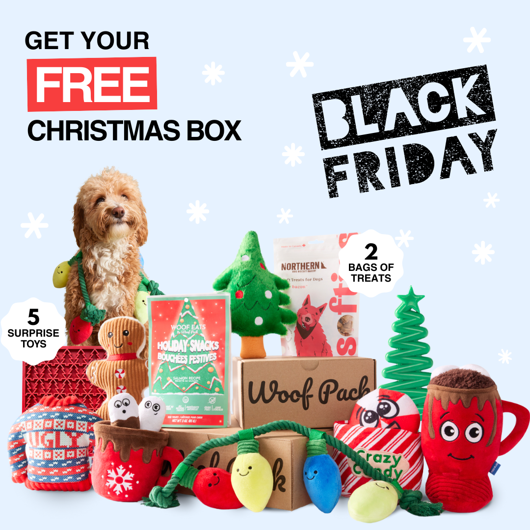 Woof Pack: A monthly box of dog goodies delivered to your door – Woof ...