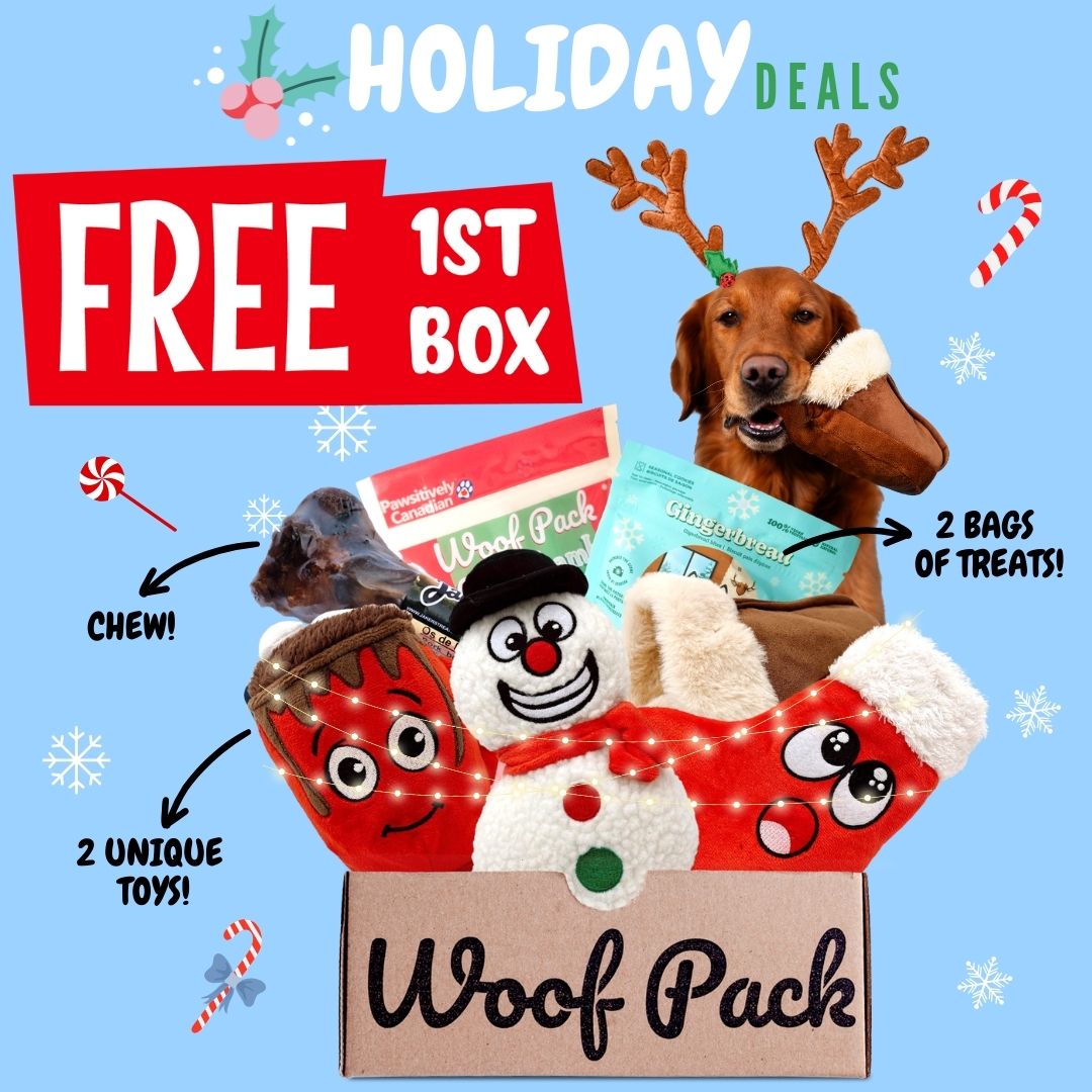 Woof Pack: A monthly box of dog goodies delivered to your door – Woof ...