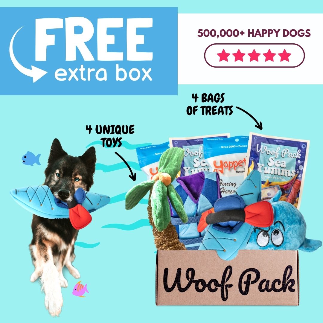 Woof Pack: A monthly box of dog goodies delivered to your door – Woof ...