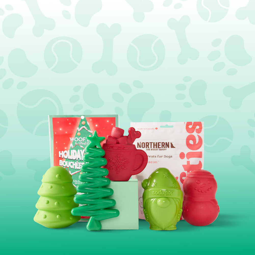 Woof Pack: A monthly box of dog goodies delivered to your door