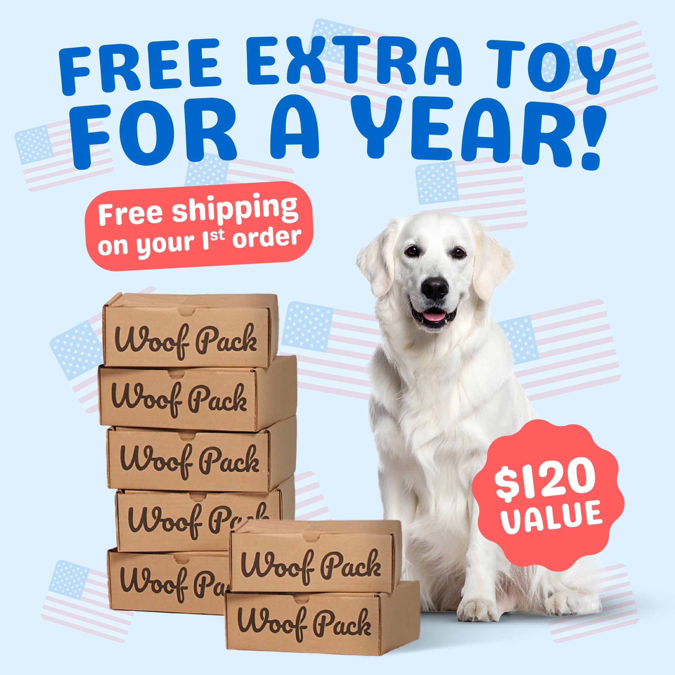 Woof Pack: A monthly box of dog goodies delivered to your door – Woof ...